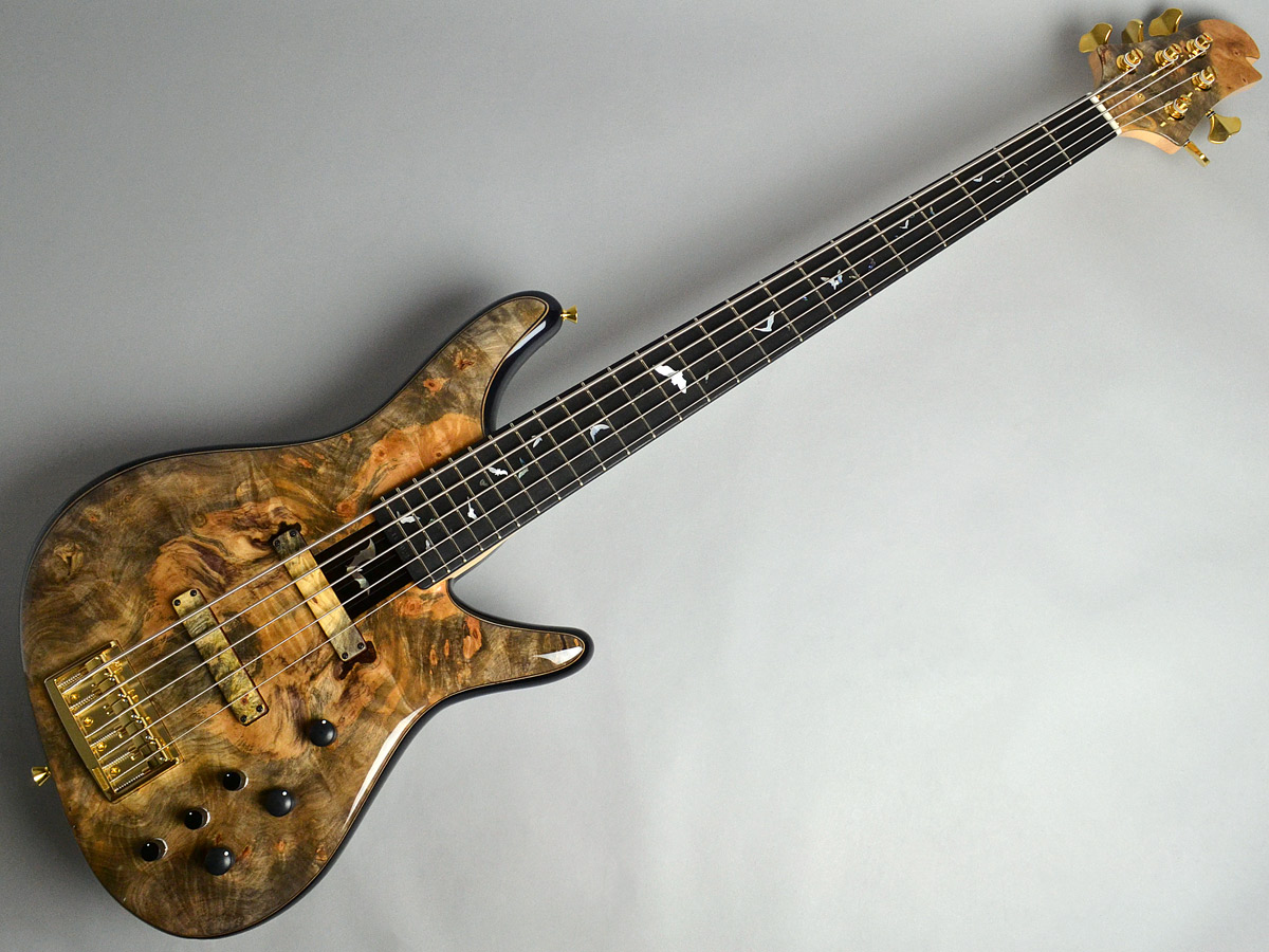 Sugi (Bass) – ギタセレ（Guitar Selection）