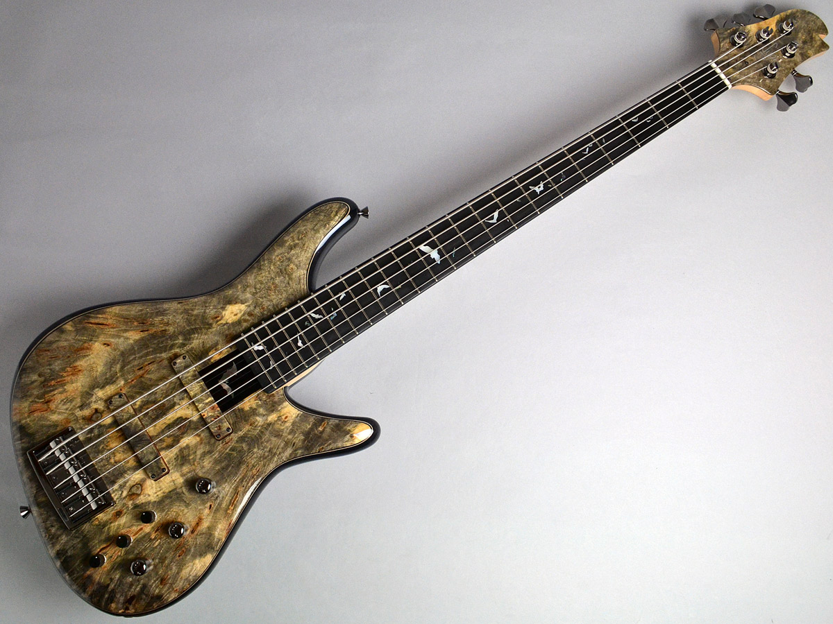 Sugi (Bass) – ギタセレ（Guitar Selection）