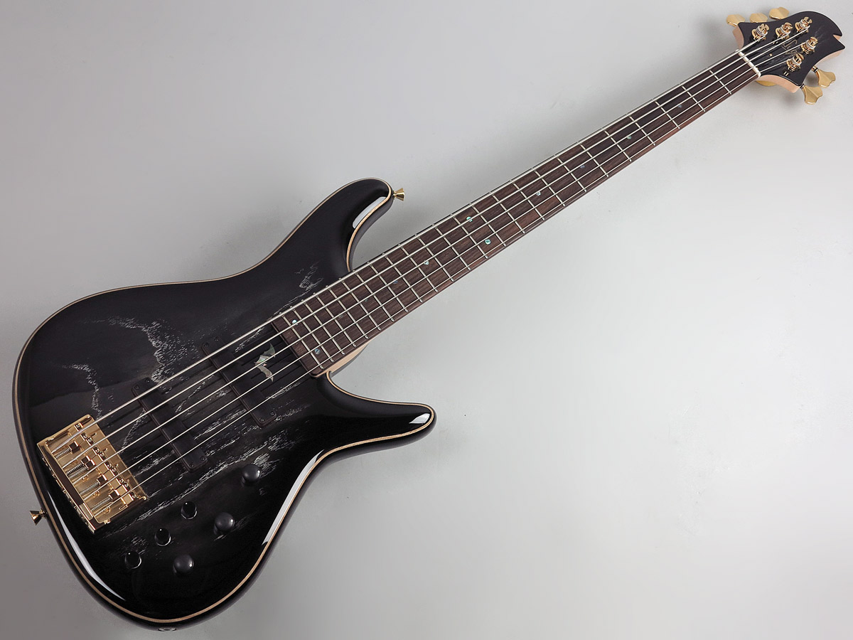 Sugi (Bass) – ギタセレ（Guitar Selection）