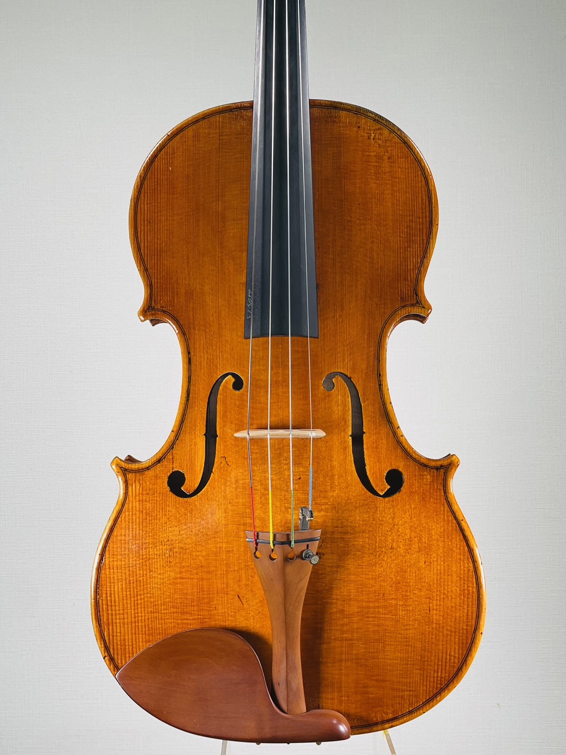 眞鍋清見 Kiyomi Manabe, Japan-Kagoshima, 2021 - 弦楽器コンシェルジュ | 島村楽器